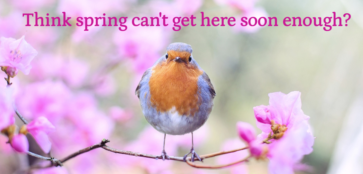 10 projects to focus on while you wait for spring - P.J. Howell